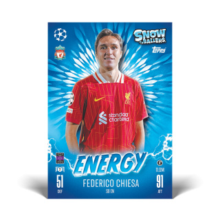 Karty piłkarskie | karteina.pl